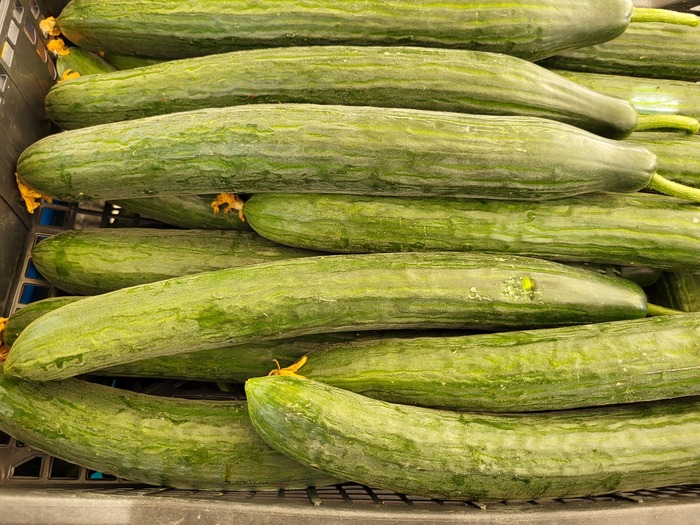 CETRIOLI LUNGHI :: passionefrutta